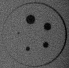 SedentexCT IQ Dental CBCT - CT Scans